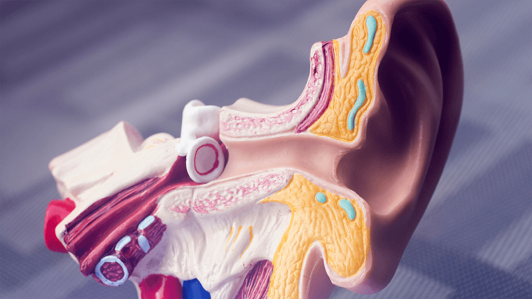 10 Unknown Facts About Auditory Processing Disorder in adults